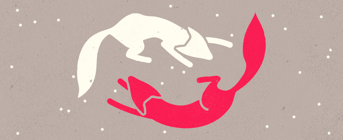 The White Fox and the Red – E. J. Swift